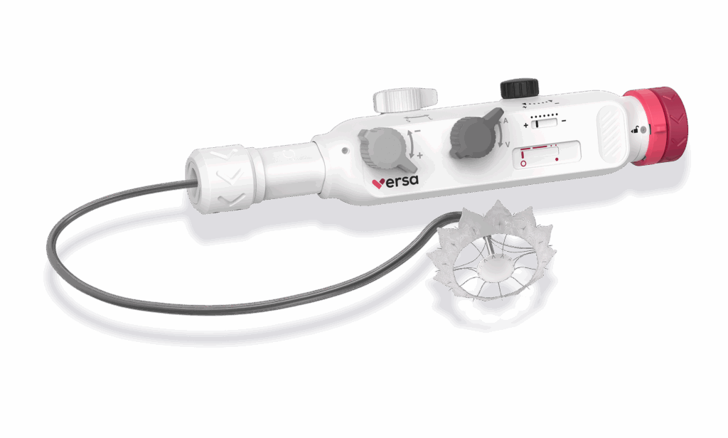 Home - Versa Vascular